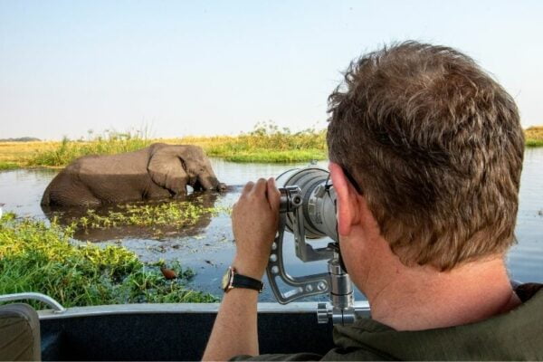 Sony A1 Mark ii Review - Tested on The Chobe River