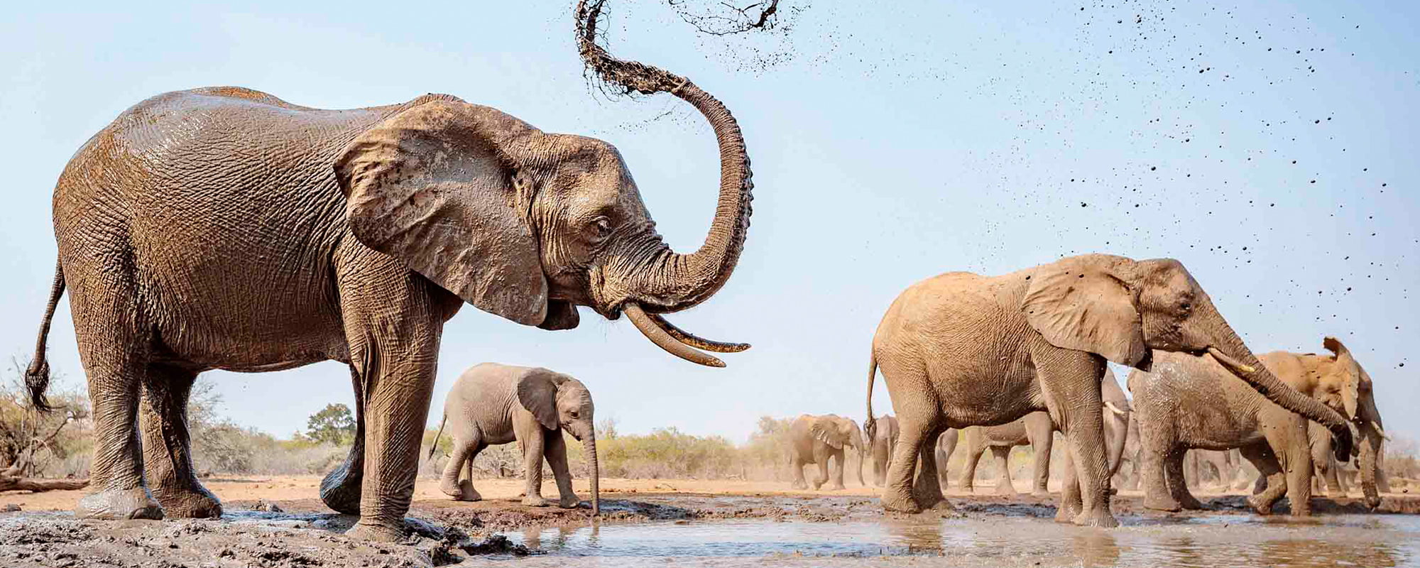 Mashatu Game Reserve