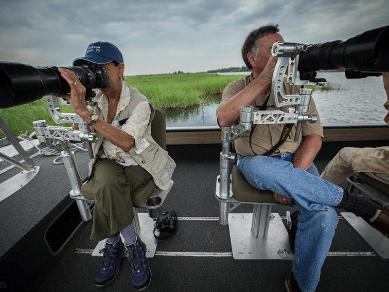 What is a Photo Safari? Definition by Pangolin Photo Safaris