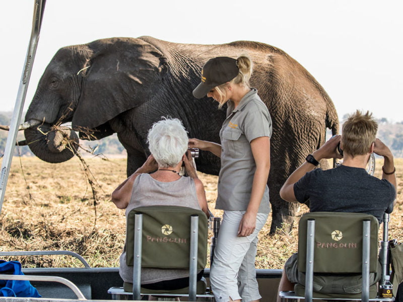 What is a Photo Safari? Definition by Pangolin Photo Safaris