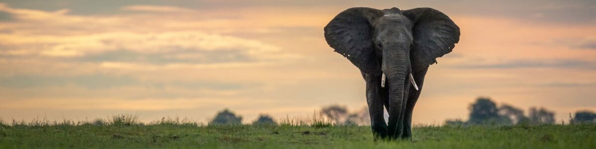 Botswana - Best places for wildlife photography in Botswana