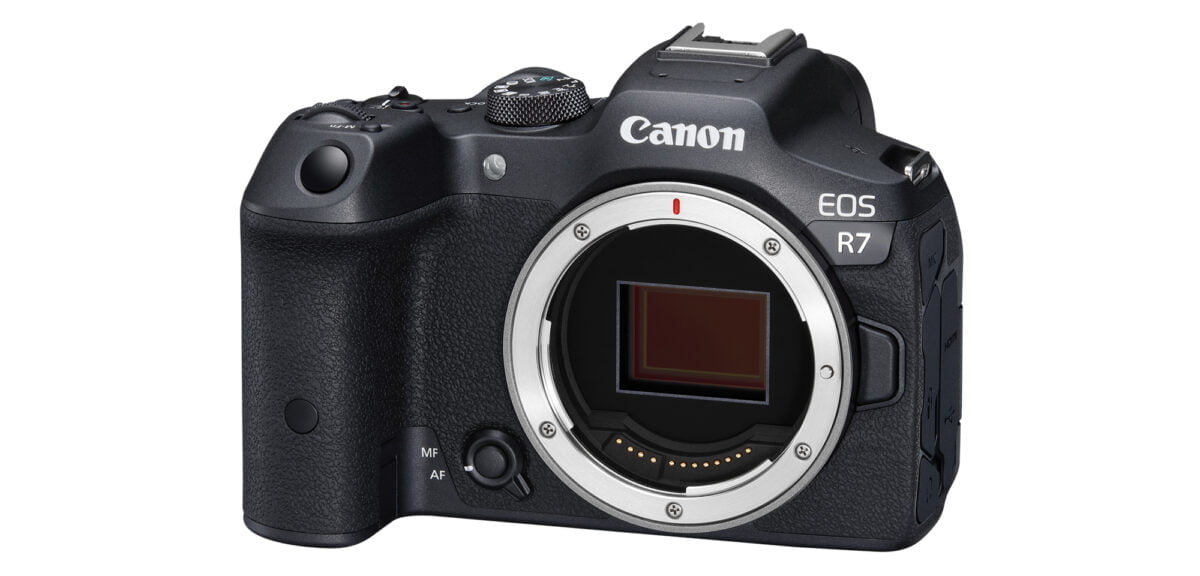 Canon EOS R7 for Wildlife Photography - Hands on test