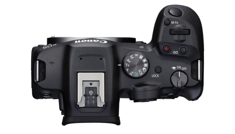 Canon EOS R7 for Wildlife Photography - Hands on test