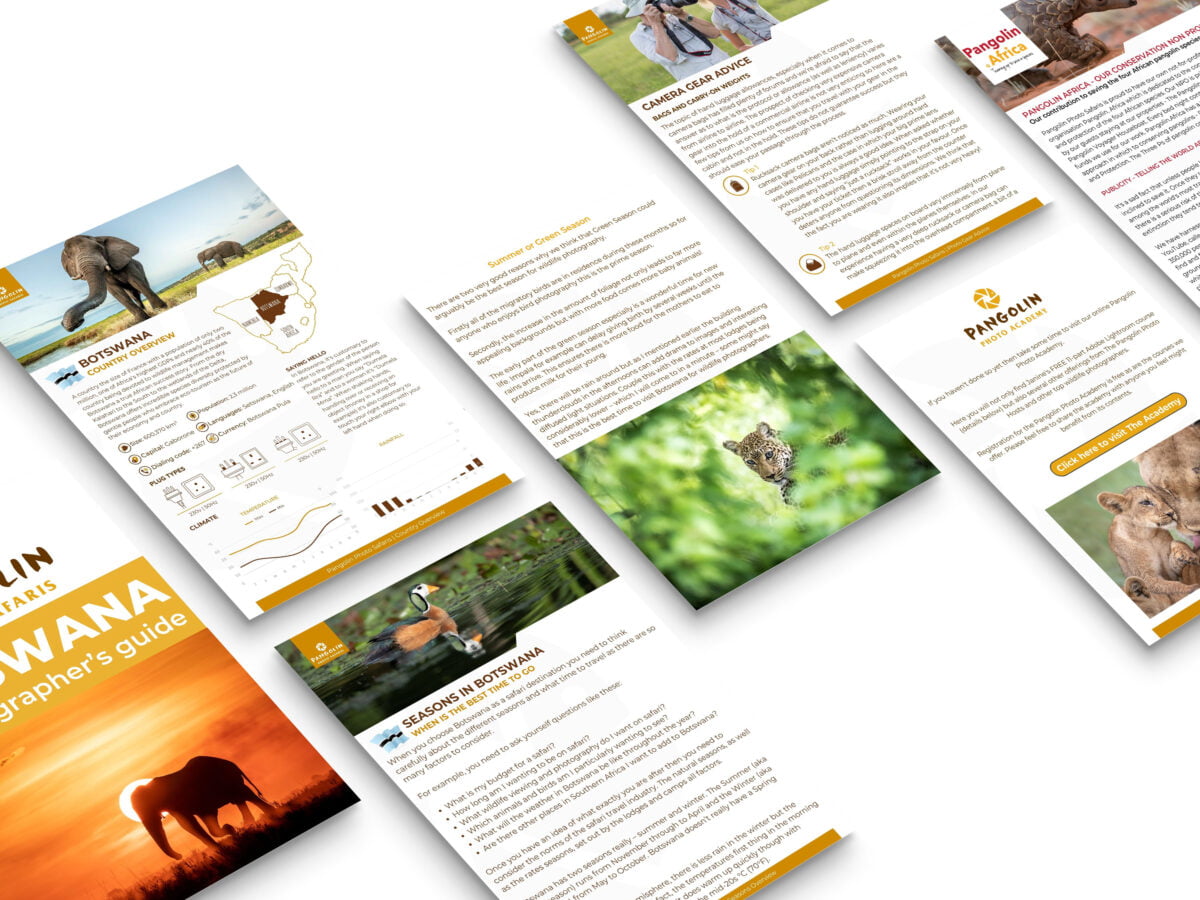 Our Botswana Travel Guide for Wildlife Photographers