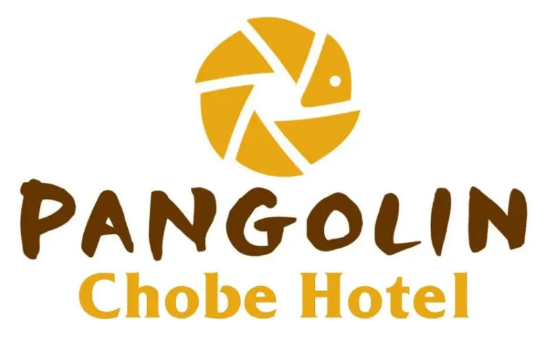 Win a Photo Safari in the Pangolin Photo Challenge 2024