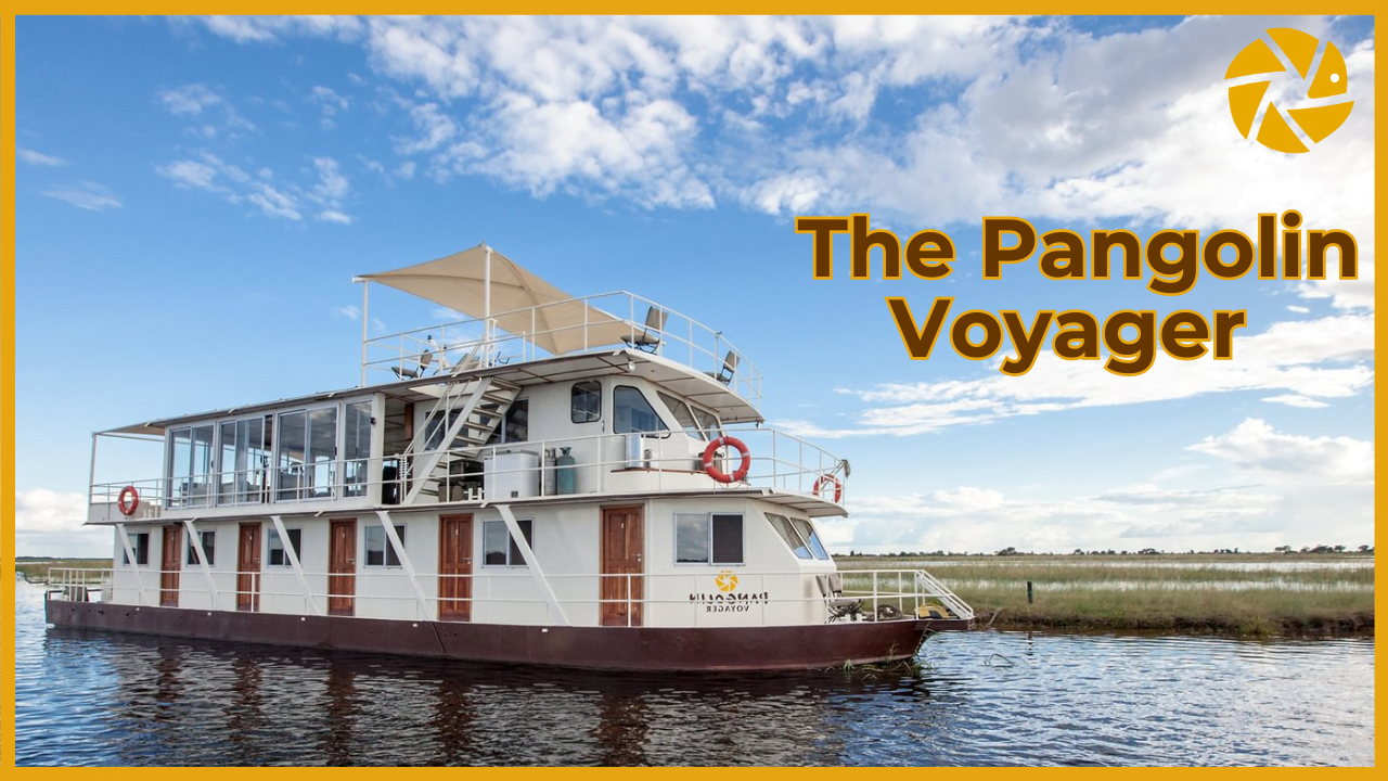 Chobe National Park Wildlife Photographic Safari Packages